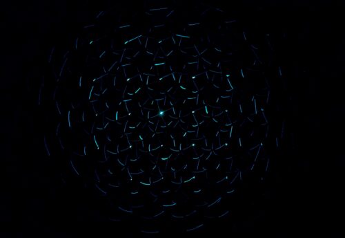 SDN vs NFV: Network Virtualization Options Explained