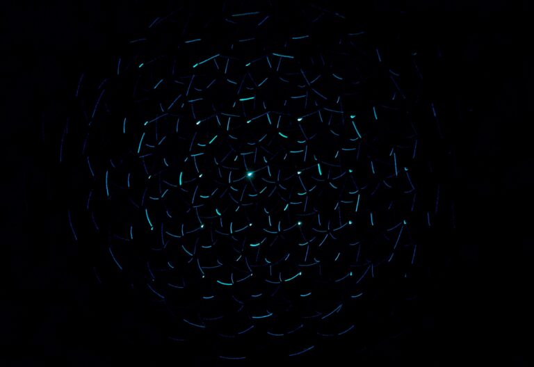 SDN vs NFV: Network Virtualization Options Explained